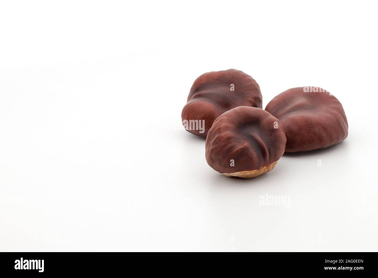 three isolated dried chestnuts resembling hearts on a white background ...