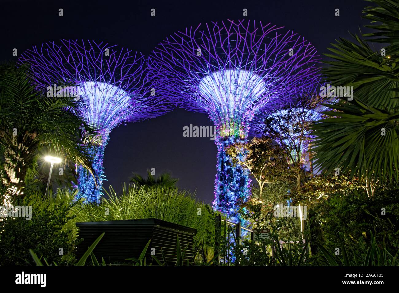 Green grove with super trees dominant in gardens by the Bay in ...