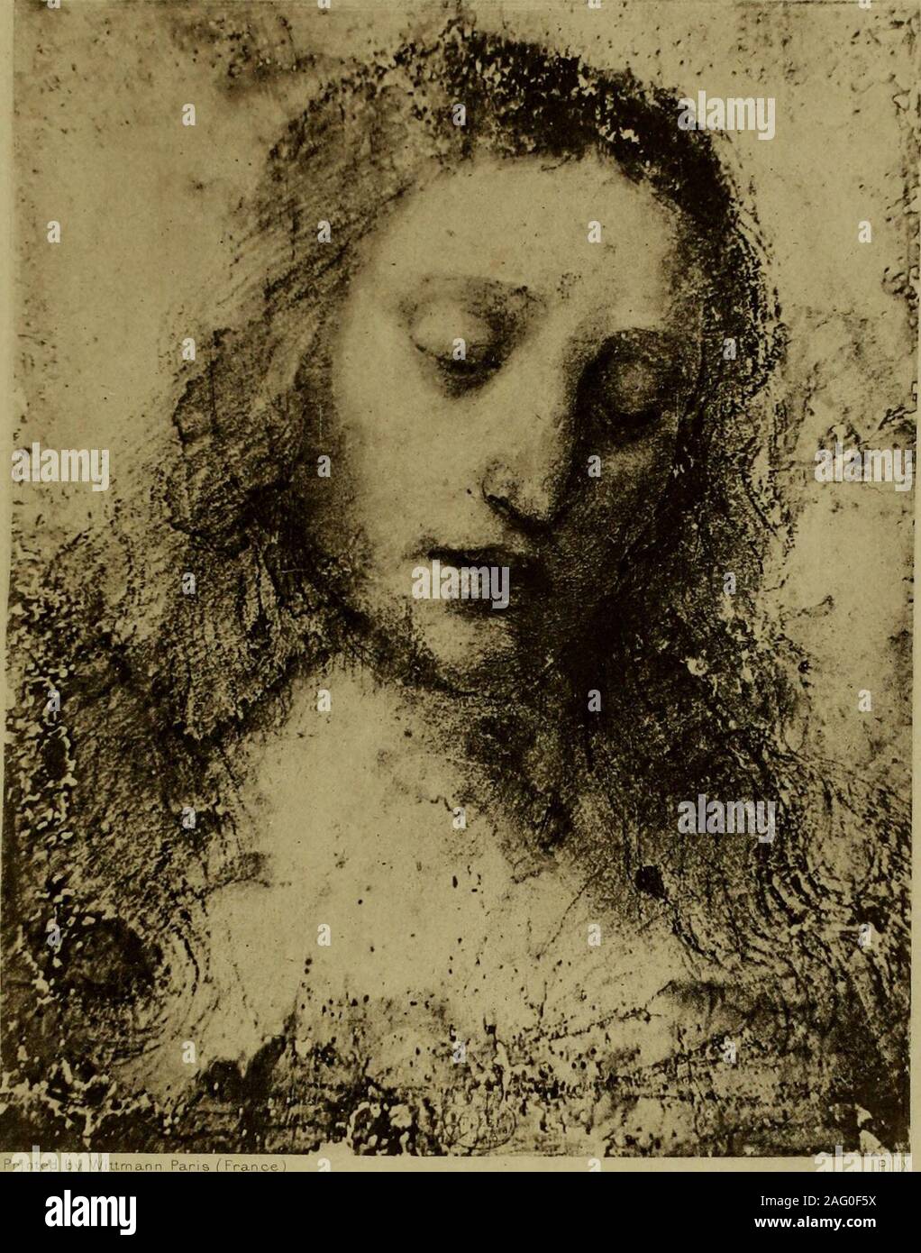 Red chalk drawing leonardo da vinci hi-res stock photography and images ...