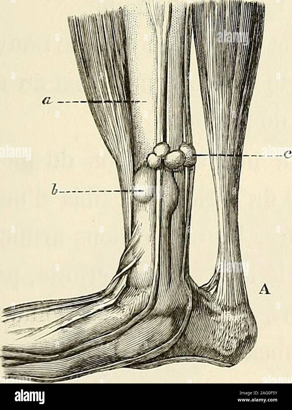 Quarante six hi-res stock photography and images - Alamy