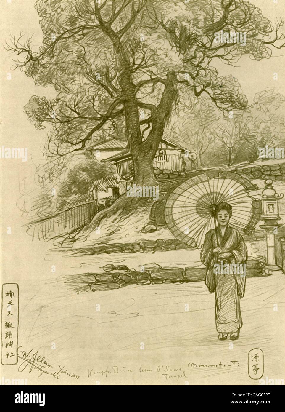 Camphor tree shinto hi-res stock photography and images - Alamy