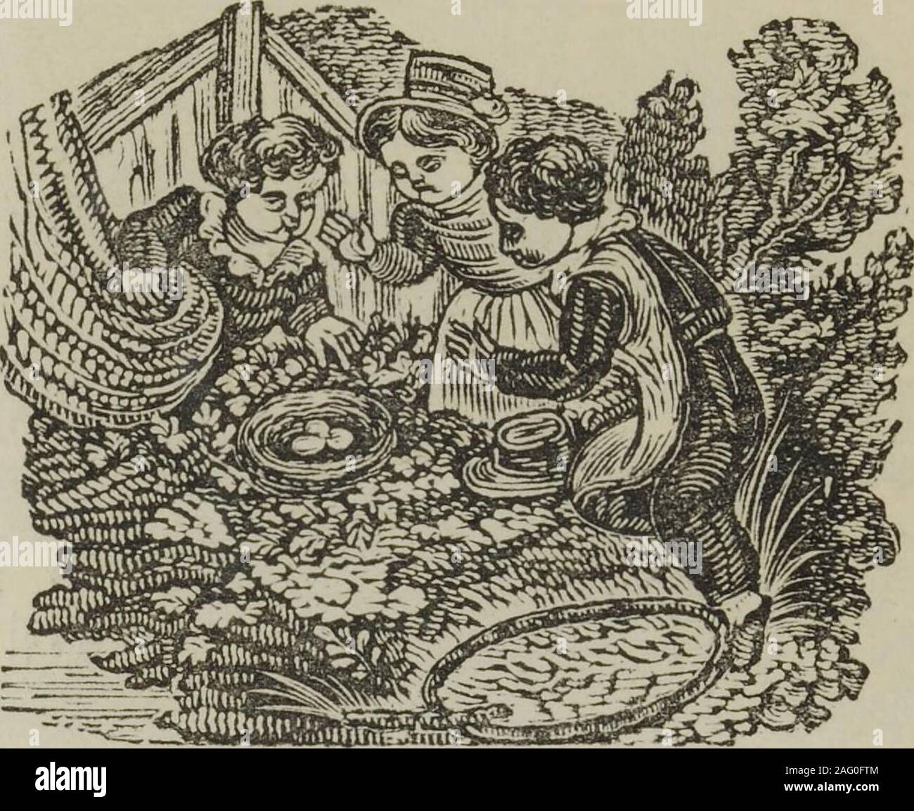 Tml alphabet hi-res stock photography and images - Alamy