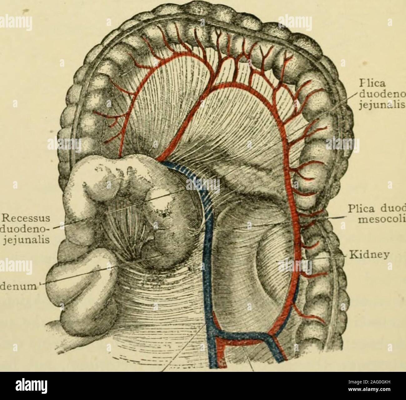 . Manual of operative surgery. nding 622 RETRO-PERITONEAL AXU ...