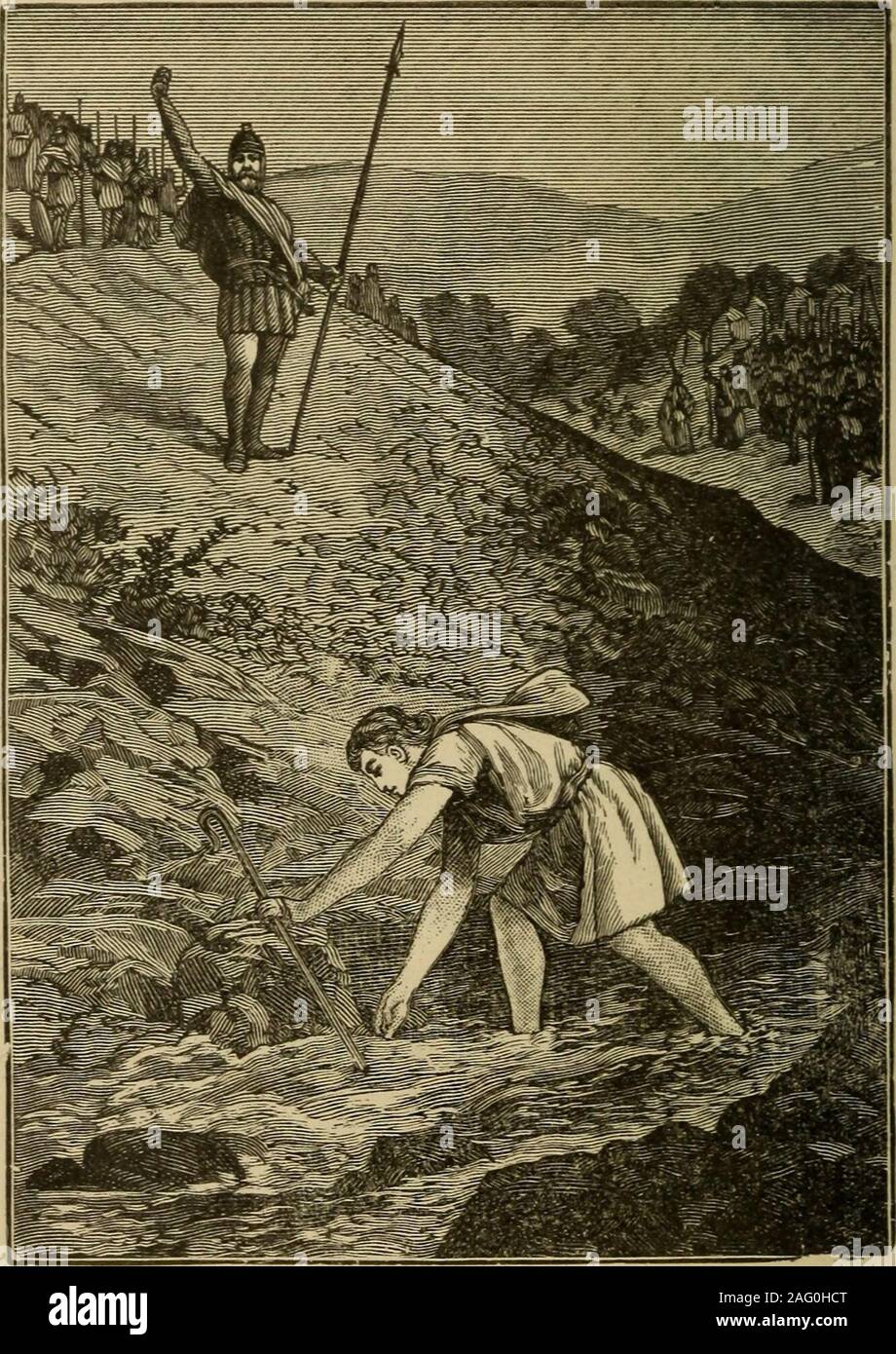 Goliath the lion hi-res stock photography and images - Alamy