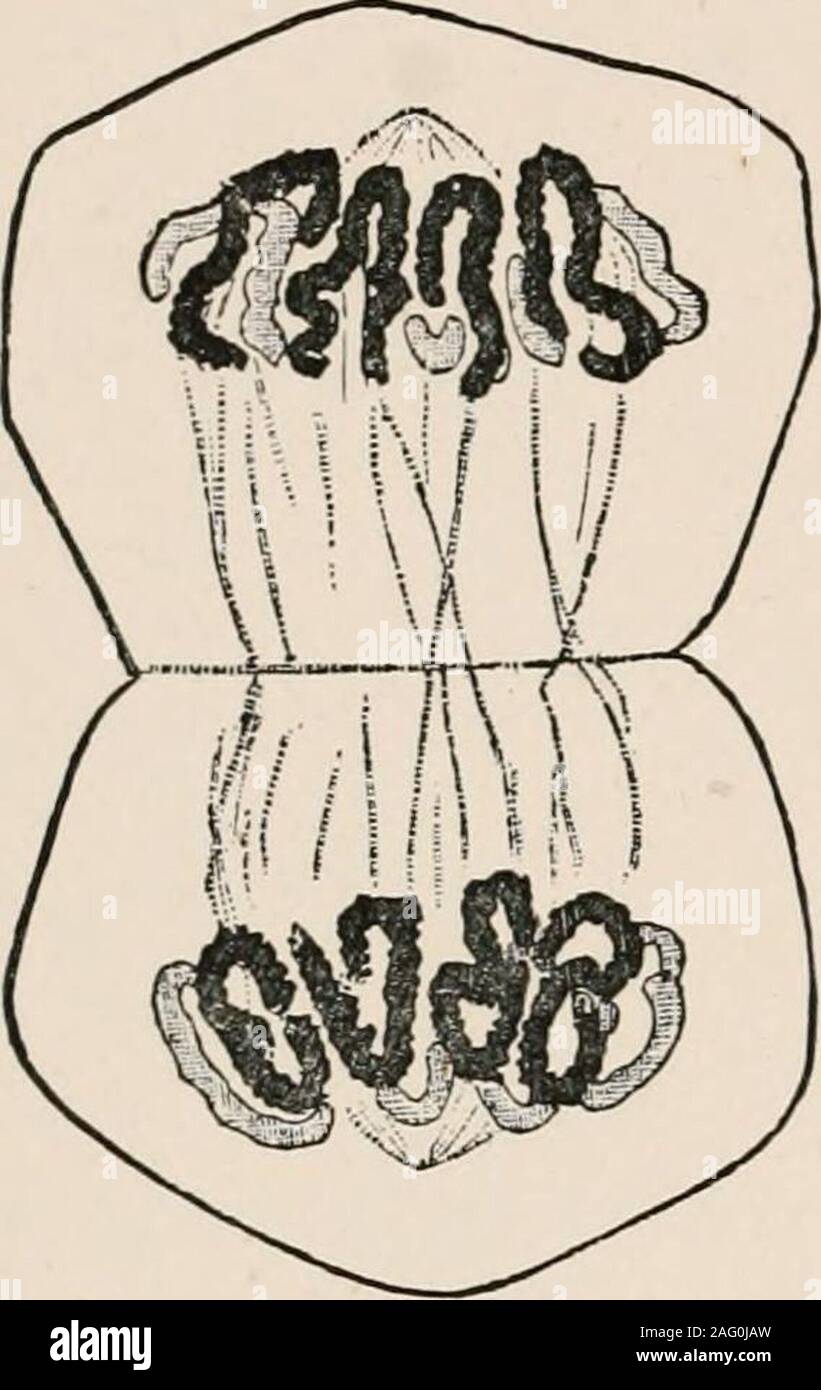 Loop groups hi-res stock photography and images - Alamy