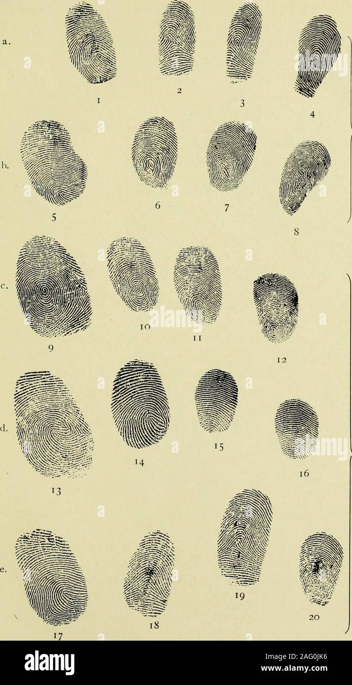 Proper identification hi-res stock photography and images - Alamy