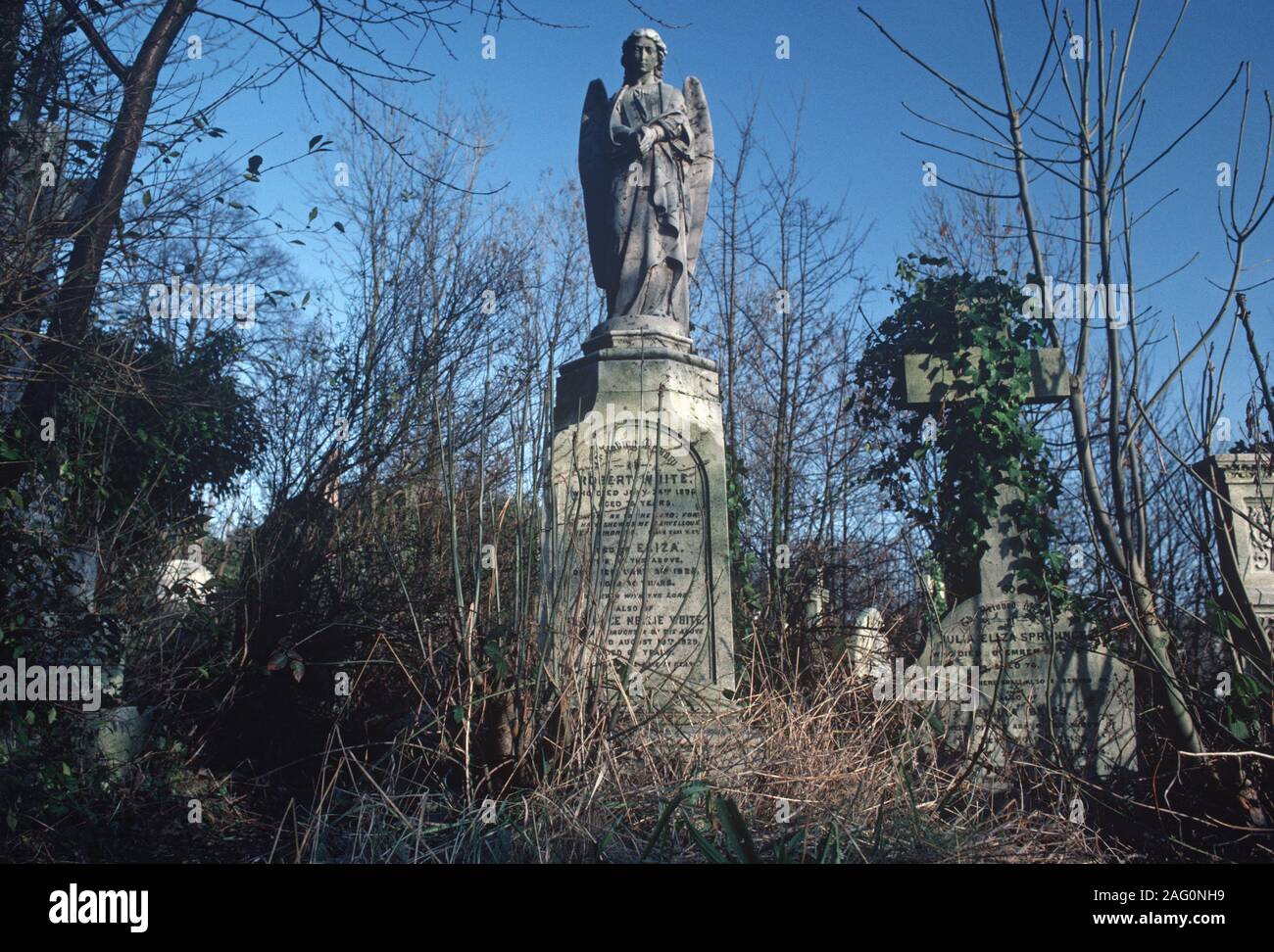 Highgate Cemetery London , England Stock Photo - Alamy