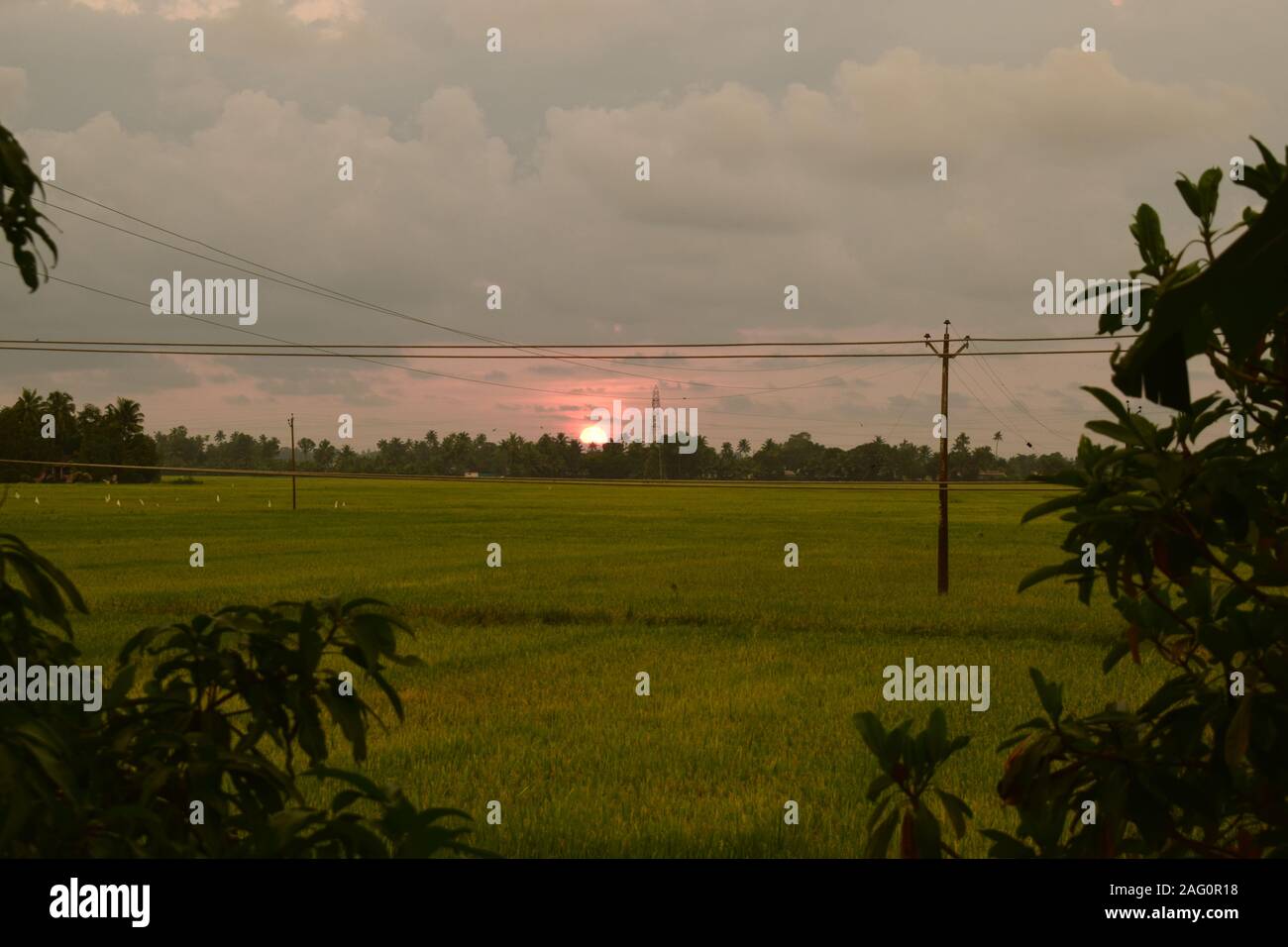 Sunset View from Alleppey Backwaters Kerala Stock Photo - Alamy