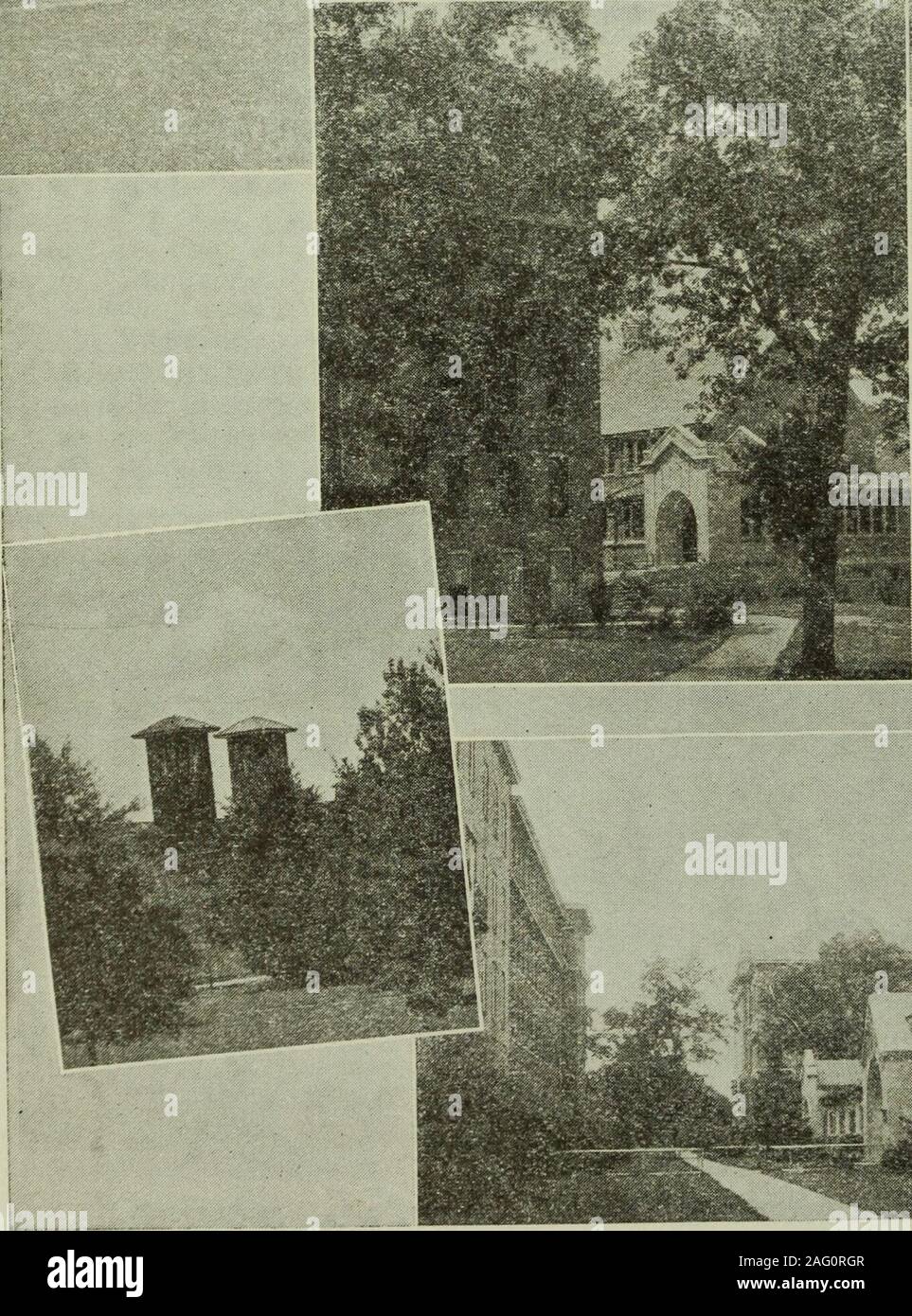 . The Palm of Alpha Tau Omega Stock Photo - Alamy