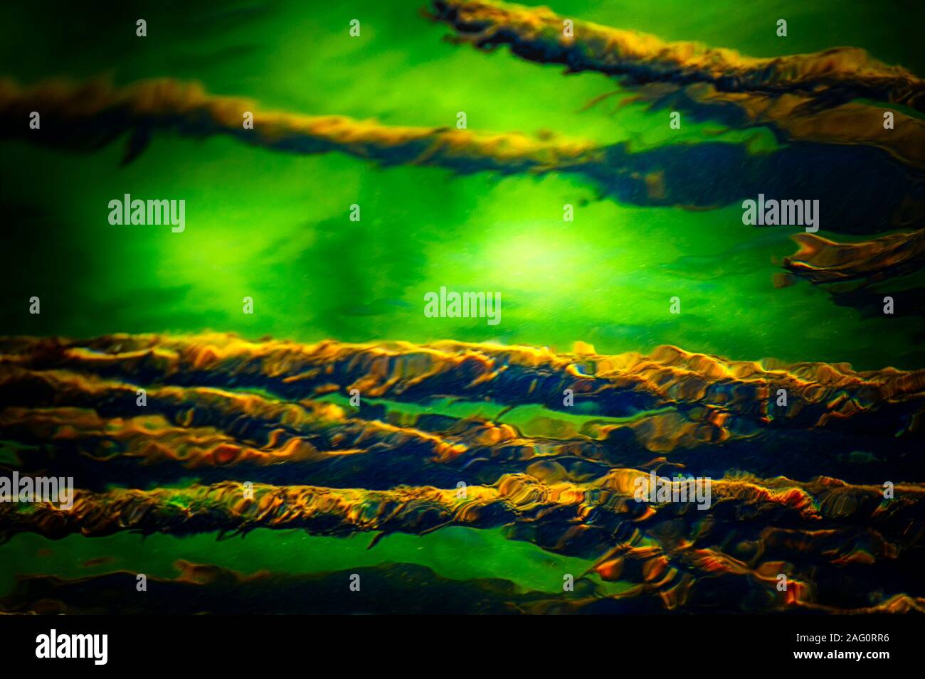 Underwater current hi-res stock photography and images - Alamy
