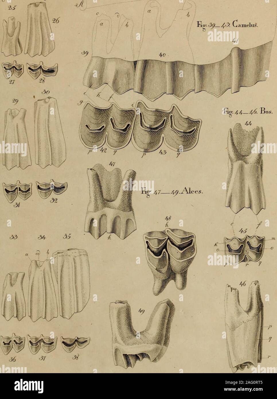 Minus 45 hi-res stock photography and images - Alamy