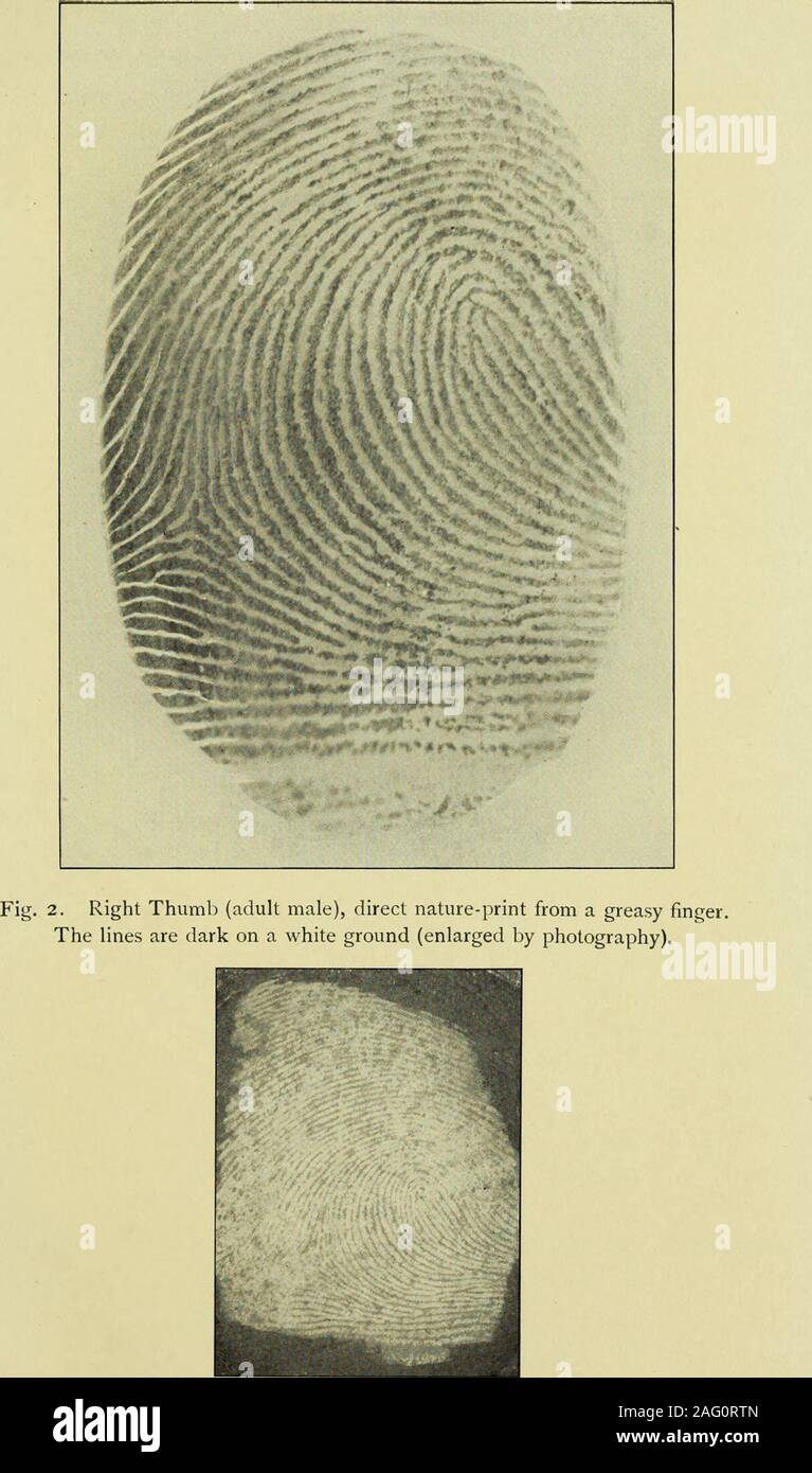 . Guide to finger-print identification [electronic resource]. b. c. Fig ...