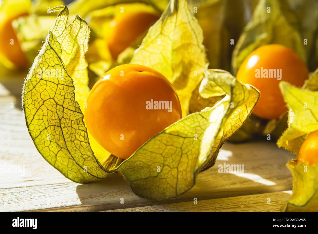 Close-up of yellow ripe physalis fruit (Physalis peruviana) in the ...