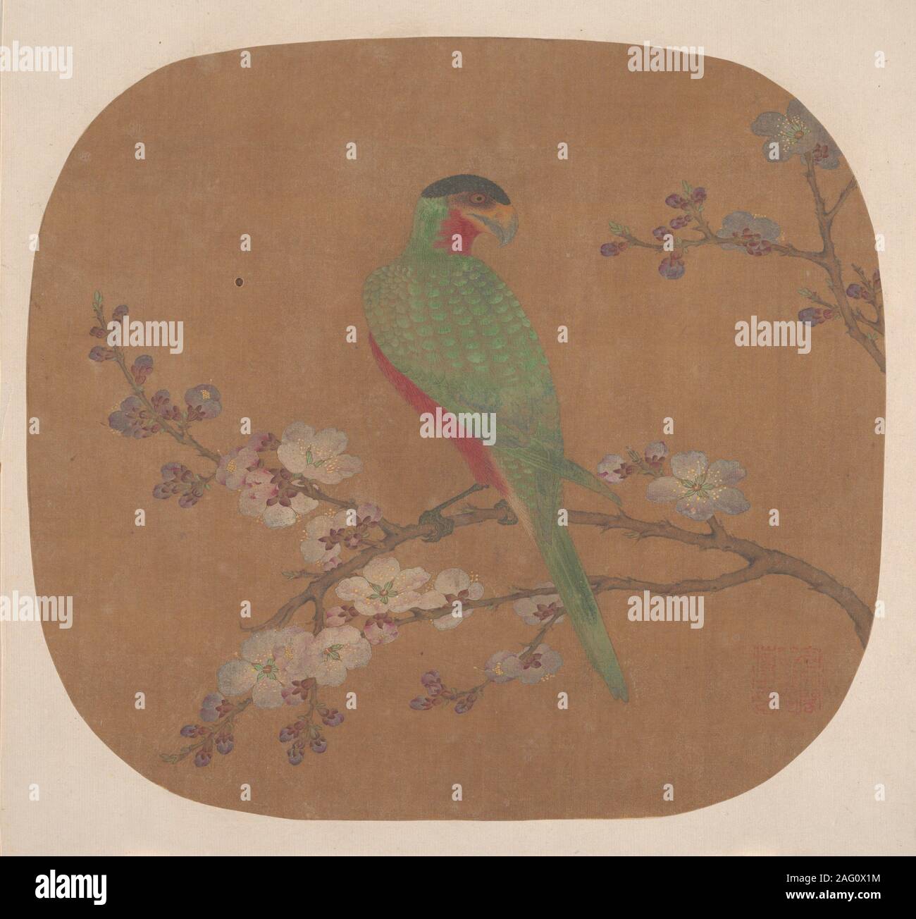 Chinese parrot hi-res stock photography and images - Alamy