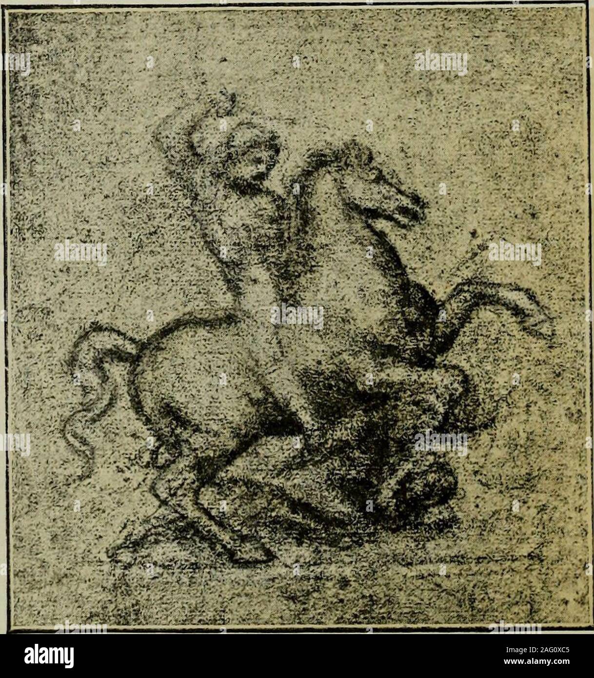 Leonardo da vinci as a young man hi-res stock photography and images ...