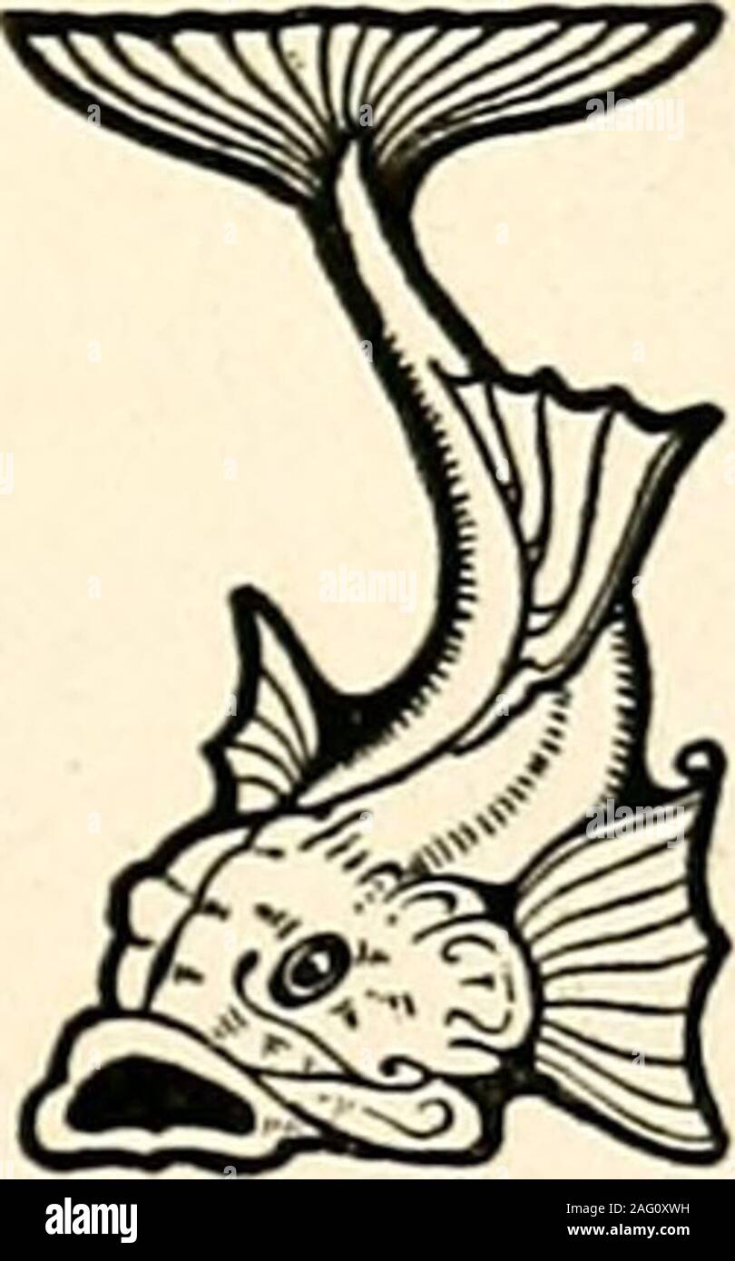 U 151 class hi-res stock photography and images - Alamy