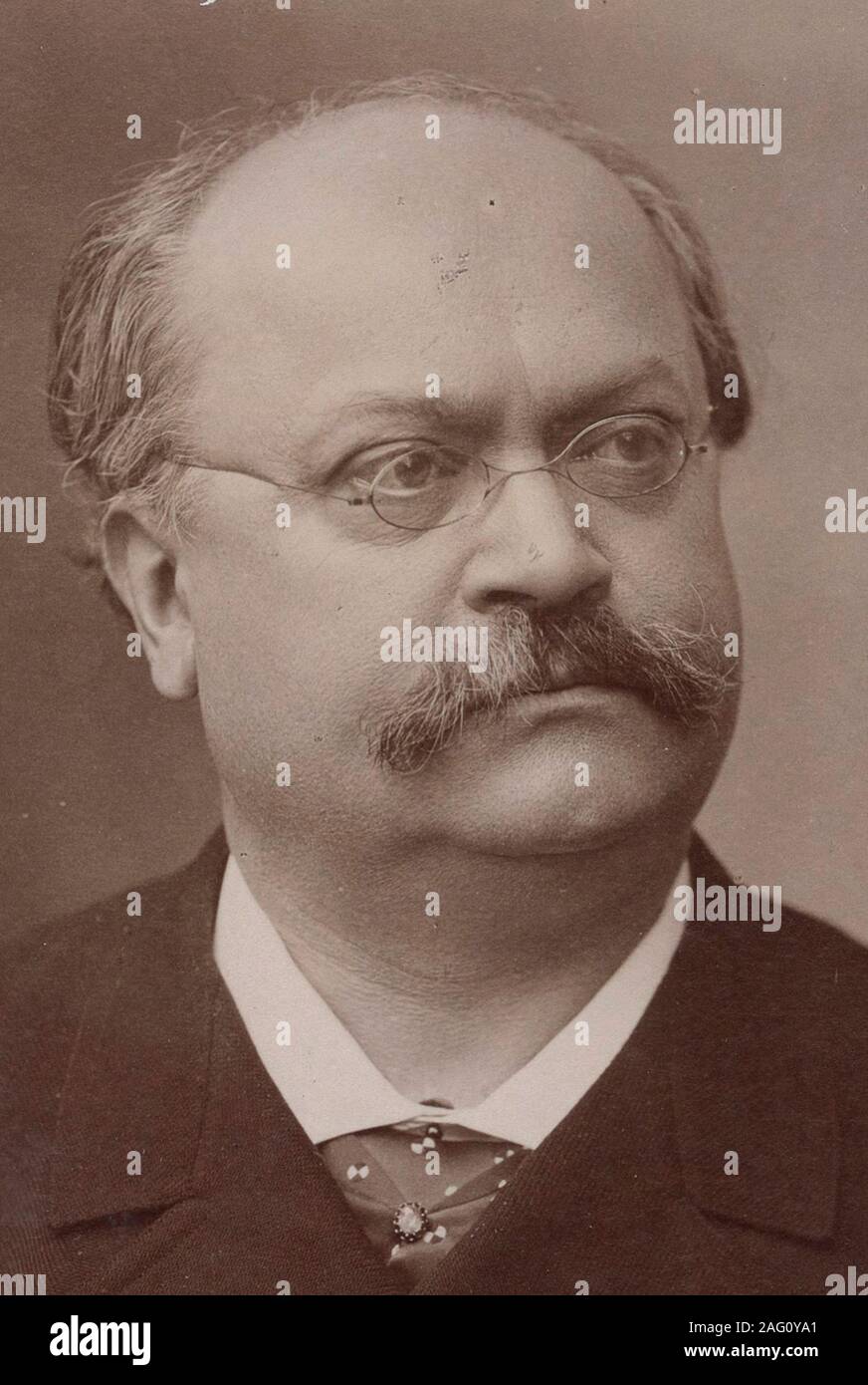 Portrait of the Composer Charles Lecocq (1832-1918). Private Collection ...