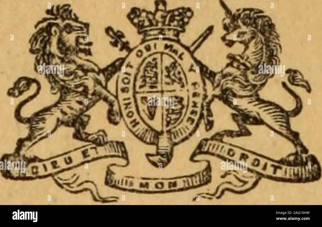 Bank note engraving style hi-res stock photography and images - Alamy