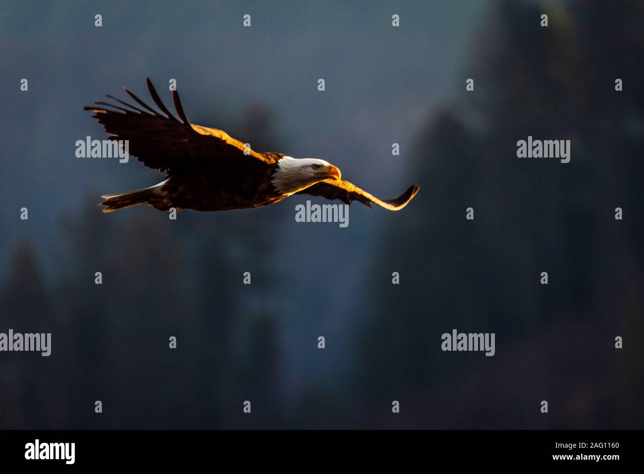Higgins point hi-res stock photography and images - Alamy