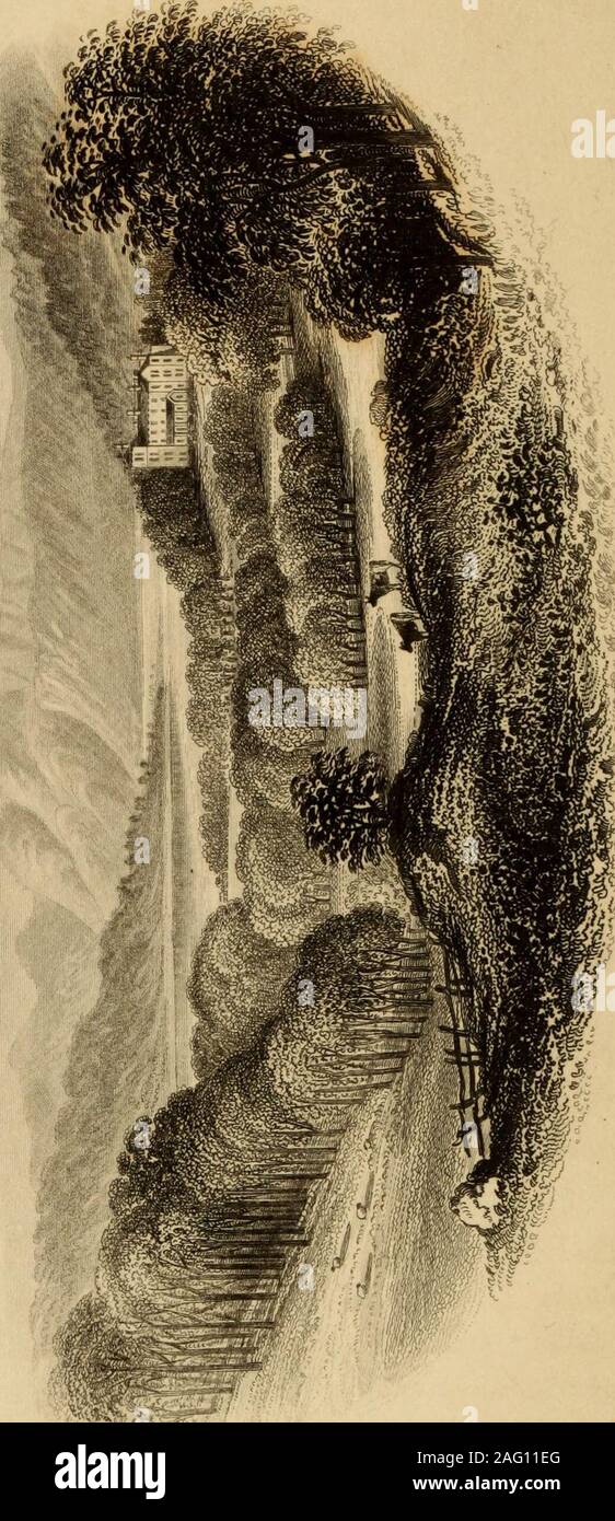 Robert gunson hi-res stock photography and images - Alamy