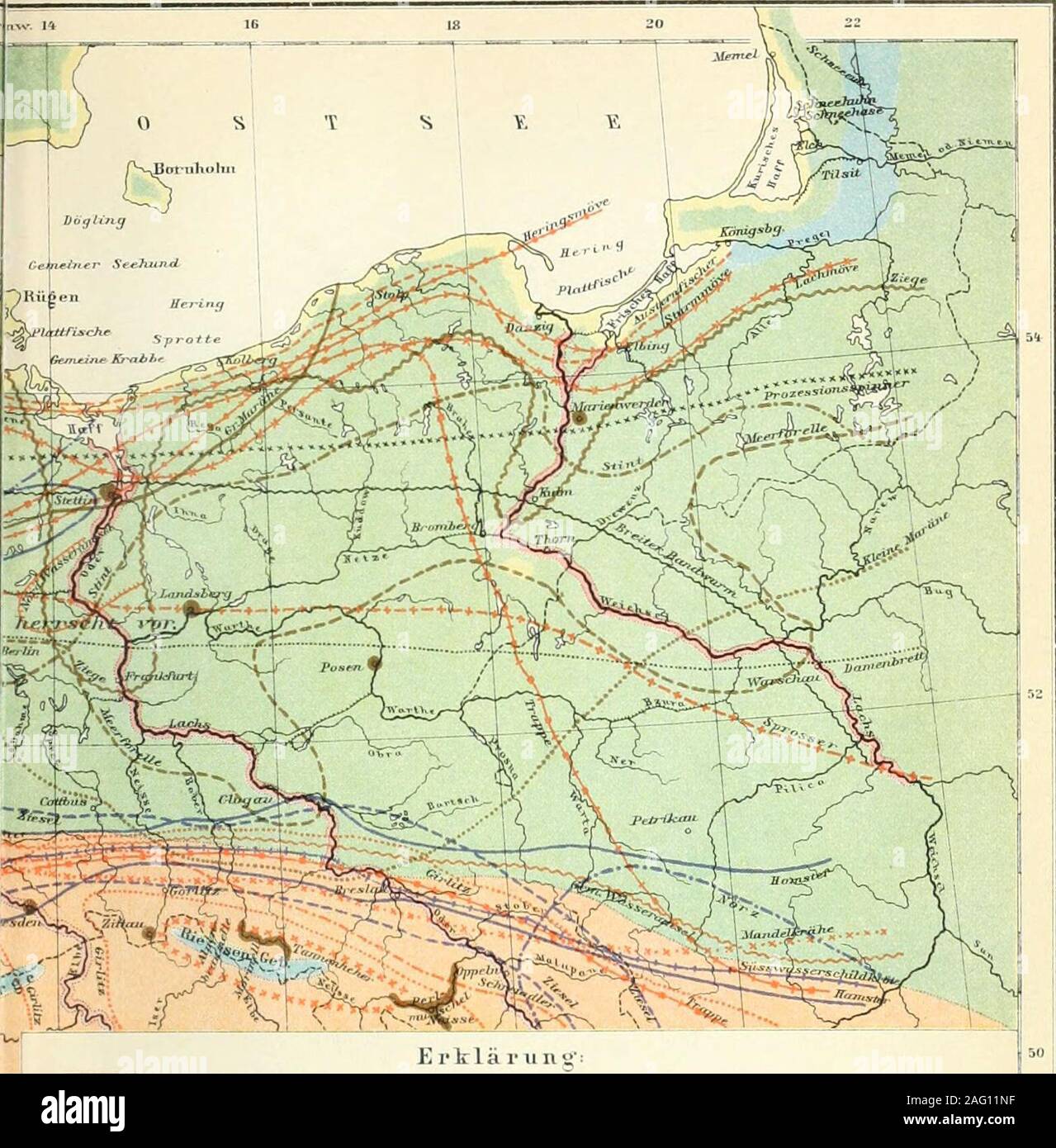 Raphie hi-res stock photography and images - Alamy