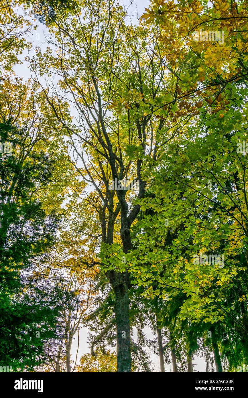 Thin skinny tall hi-res stock photography and images - Alamy