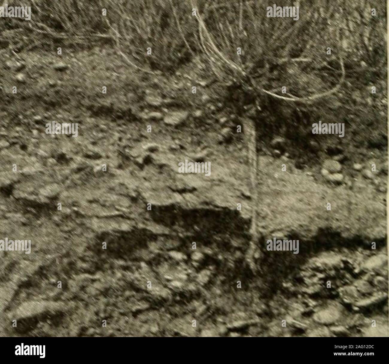 Sage brush soil hi-res stock photography and images - Alamy