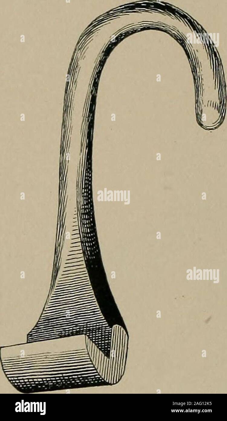 Curved chisel hi-res stock photography and images - Alamy