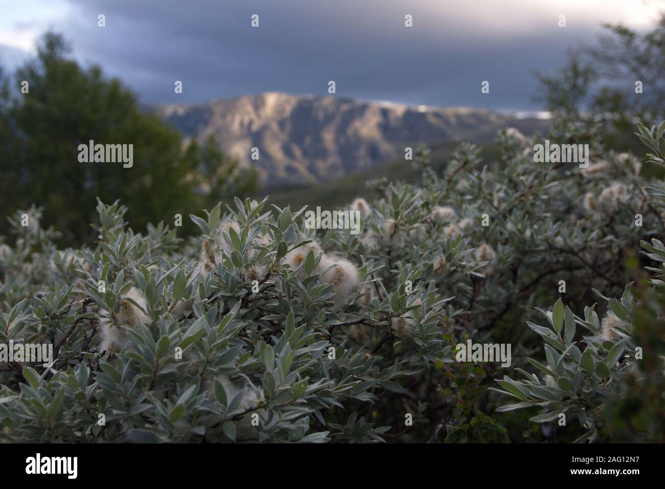 Jotunheim High Resolution Stock Photography and Images - Alamy