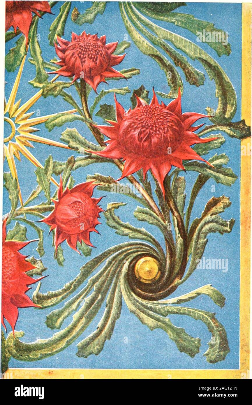 . The Australian flora in applied art. Silver Buckle. Fig. 53. APPLIED ...