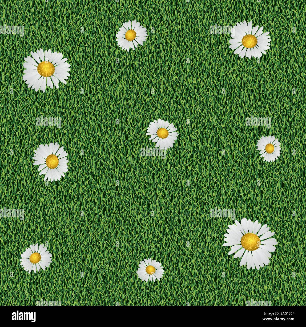 Daisy flowers on fresh green grass background Stock Vector Image & Art ...
