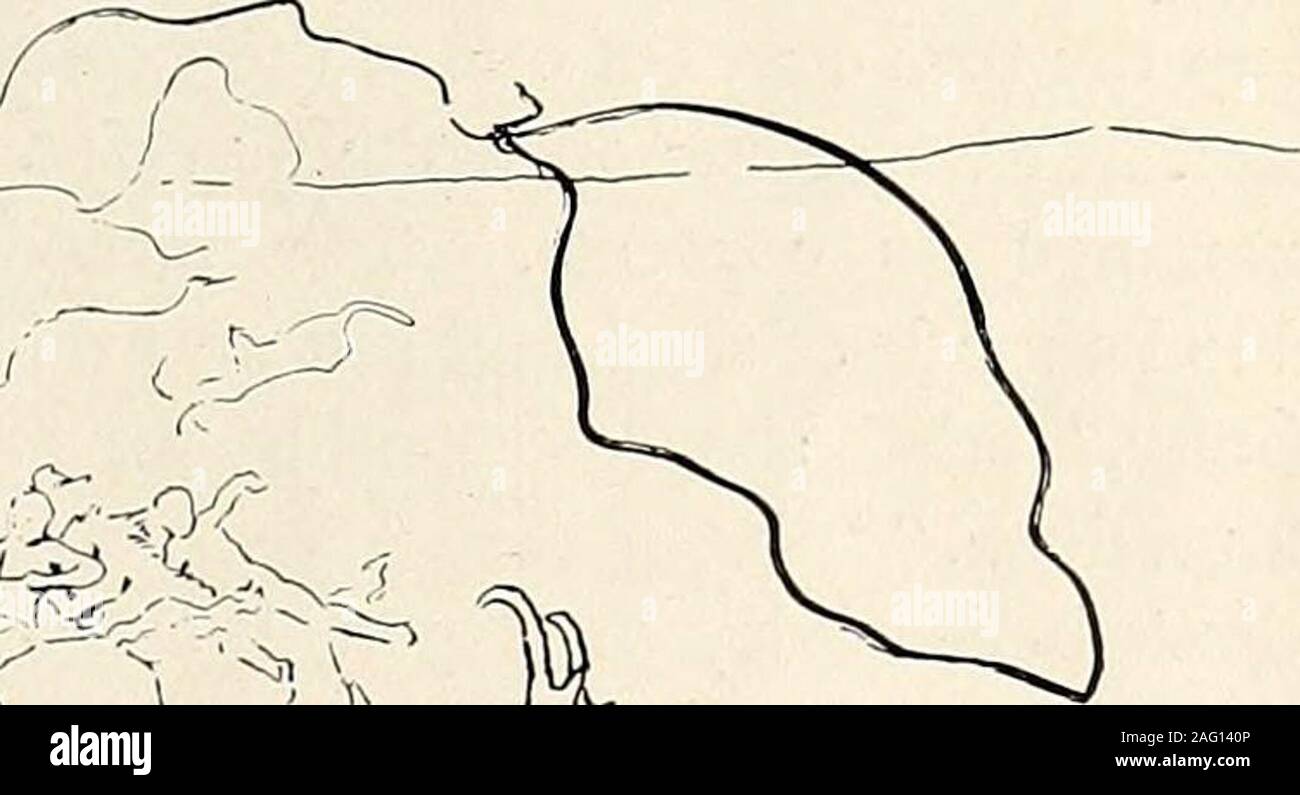 . St. Nicholas [serial]. W. I I:^%-r^l liDNEor-UNCLElBl Joeys Jokes ...