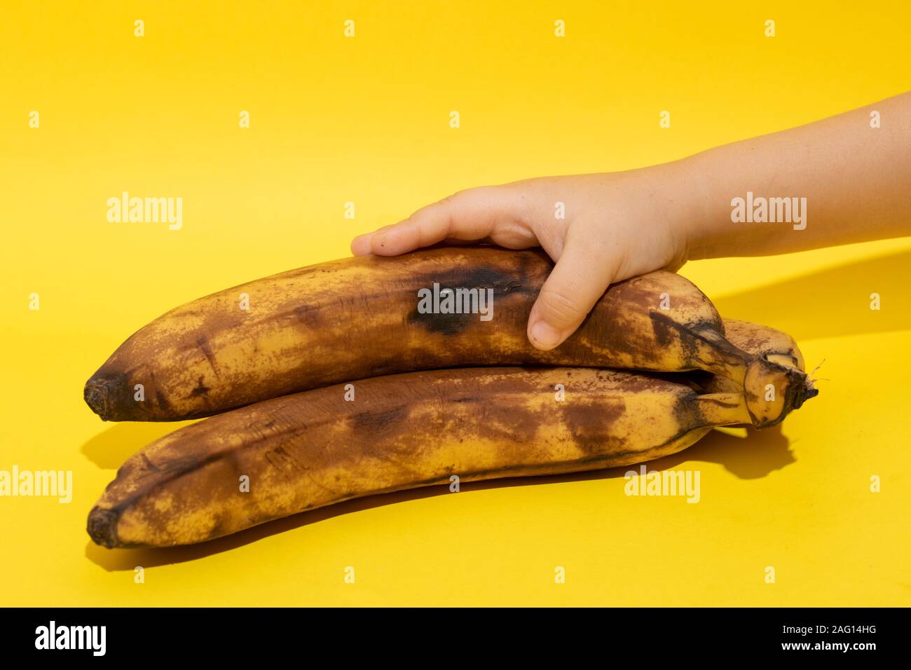 Dark spoiled banana in hand. A hand is holding a rotten black or brown ... Dark spoiled banana in hand. A hand is holding a rotten black or brown ...