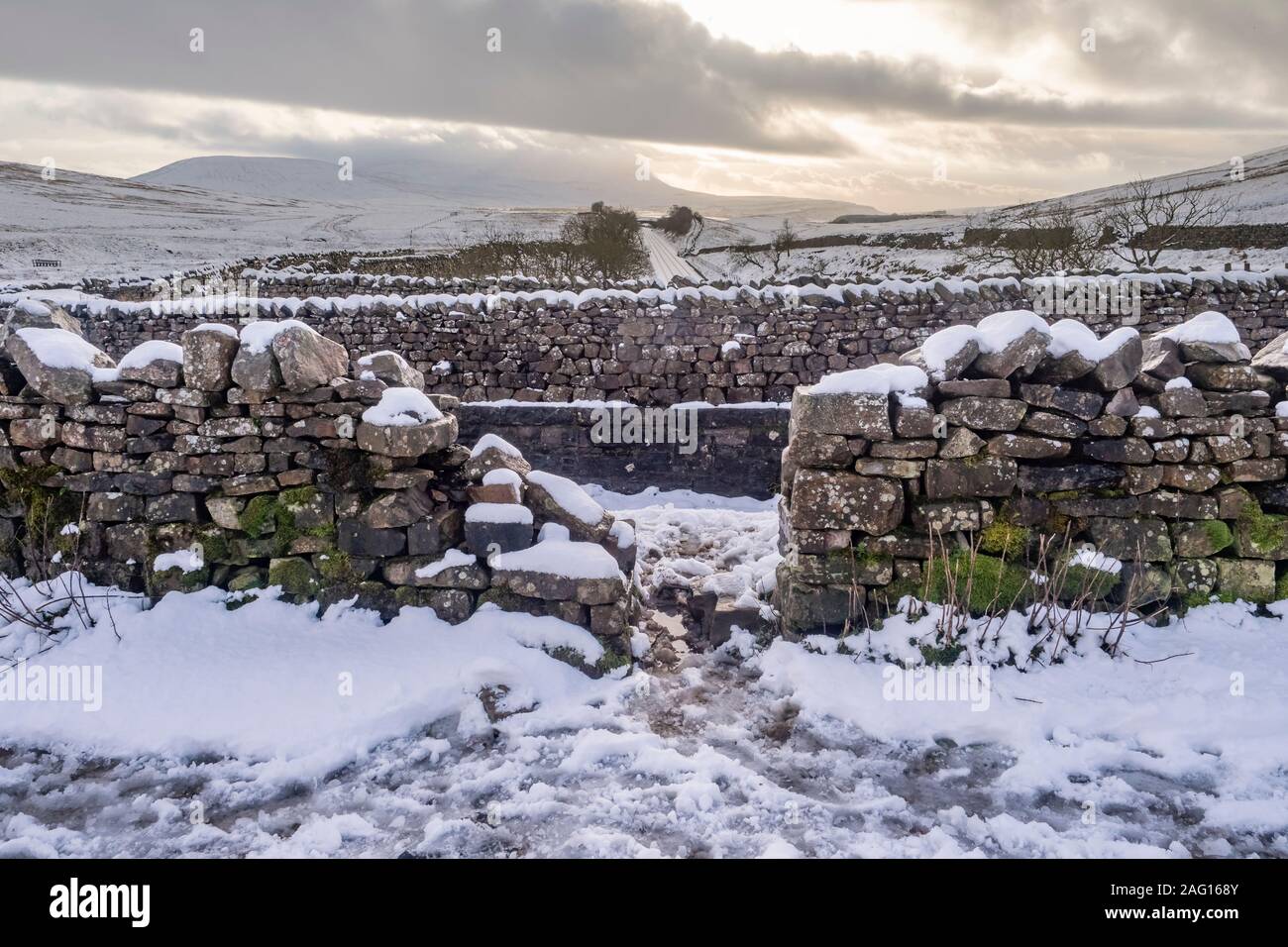 The Ribblehead Viaduct or Batty Moss Viaduct carries the Settle ...