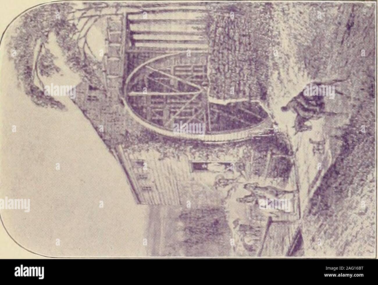 Anna Spengler High Resolution Stock Photography and Images - Alamy