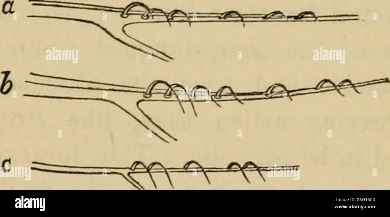 . British insects : a familiar description of the form, structure ...