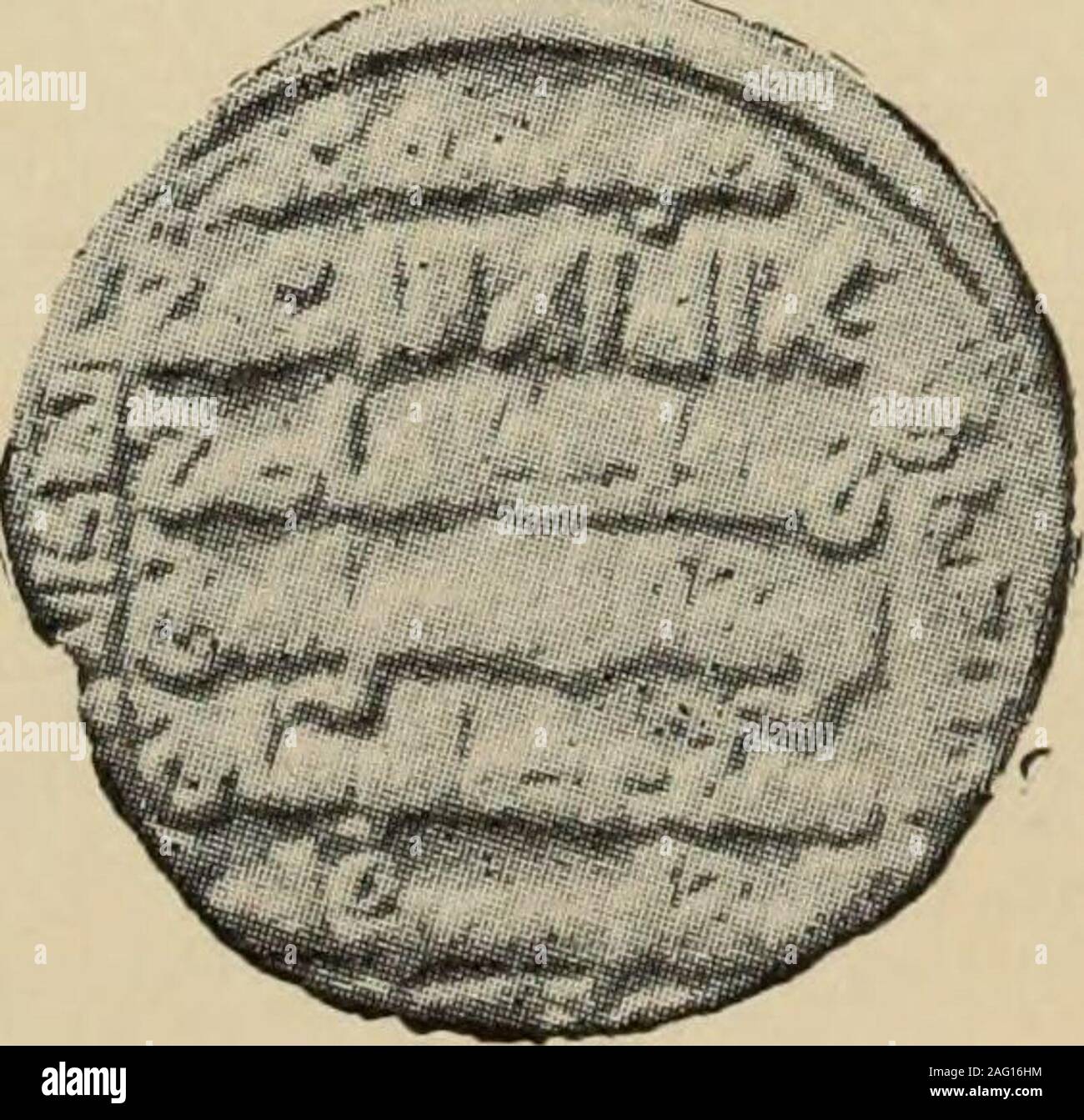 . Saladin and the fall of the Kingdom of Jerusalem. THE ATABEG OF MOSIL ...