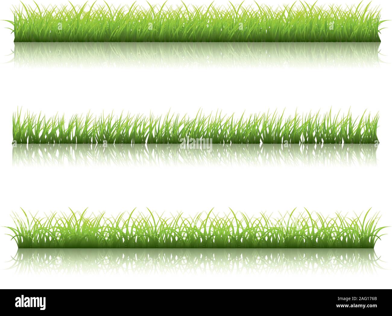 Fresh green grass line with reflection on white background Stock Vector ...