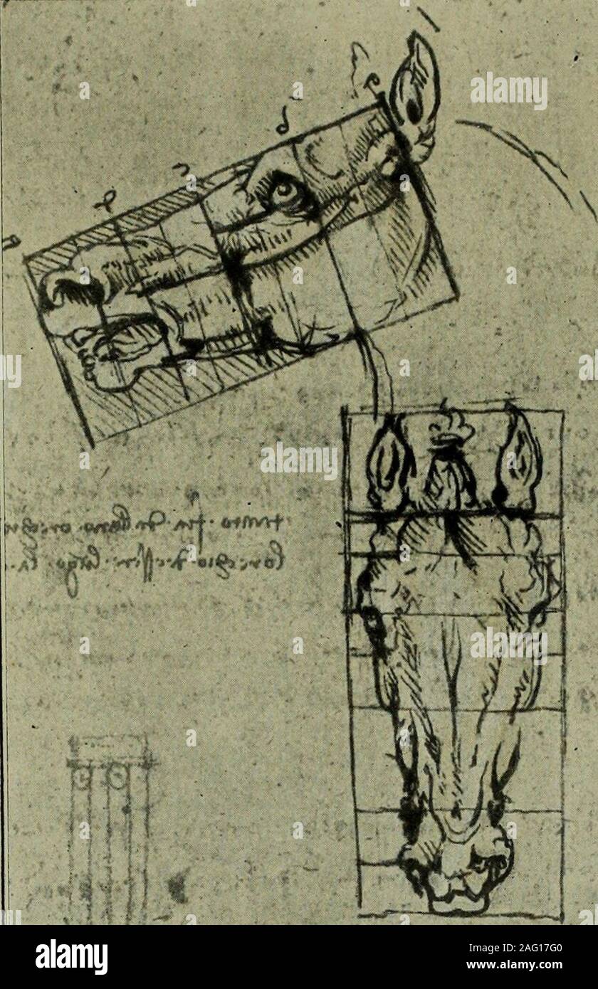 Leonardo Conti High Resolution Stock Photography and Images - Alamy