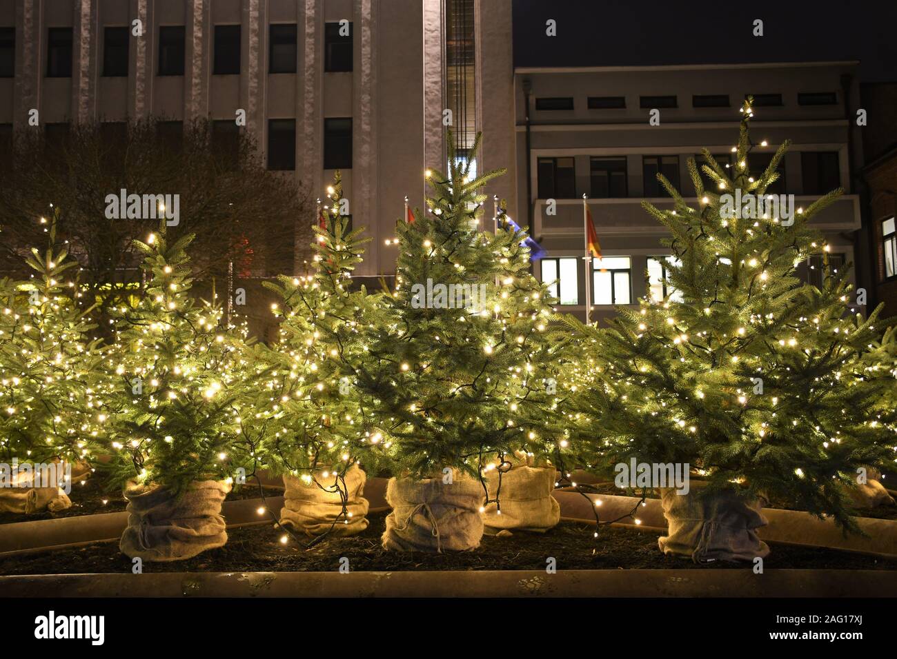 Real christmas trees hi-res stock photography and images - Alamy