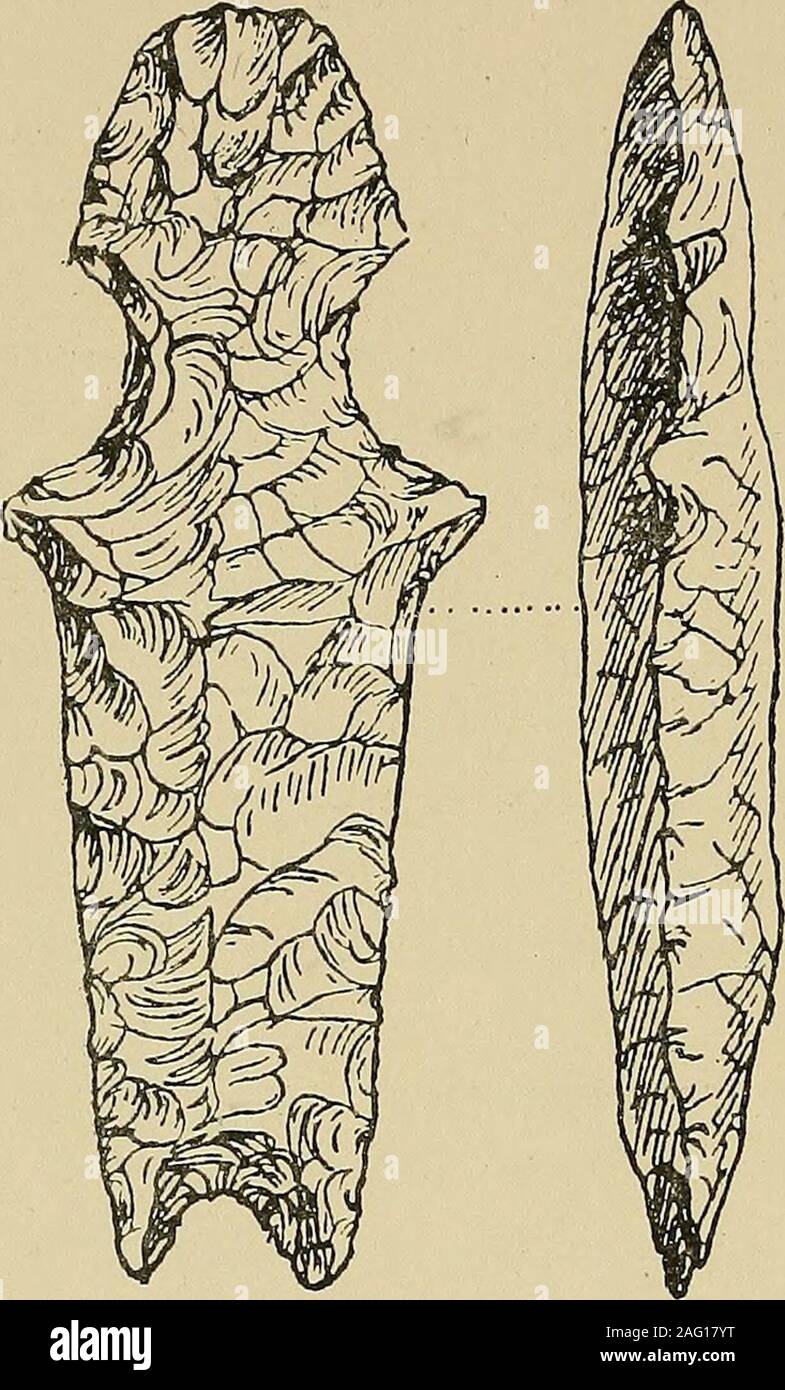 Bone Plaques High Resolution Stock Photography and Images - Alamy