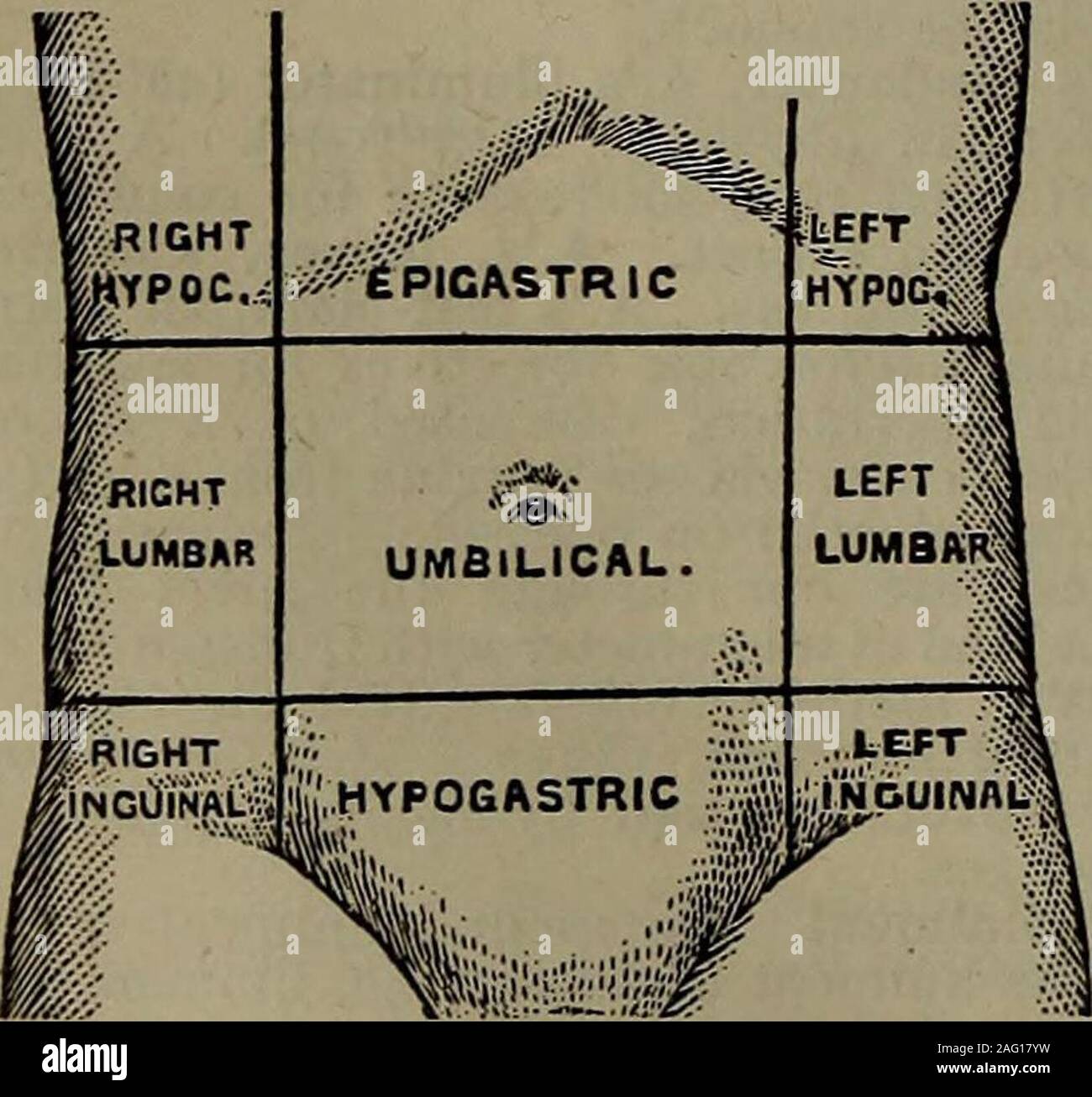 . The practitioner's medical dictionary; containing all the words and ...