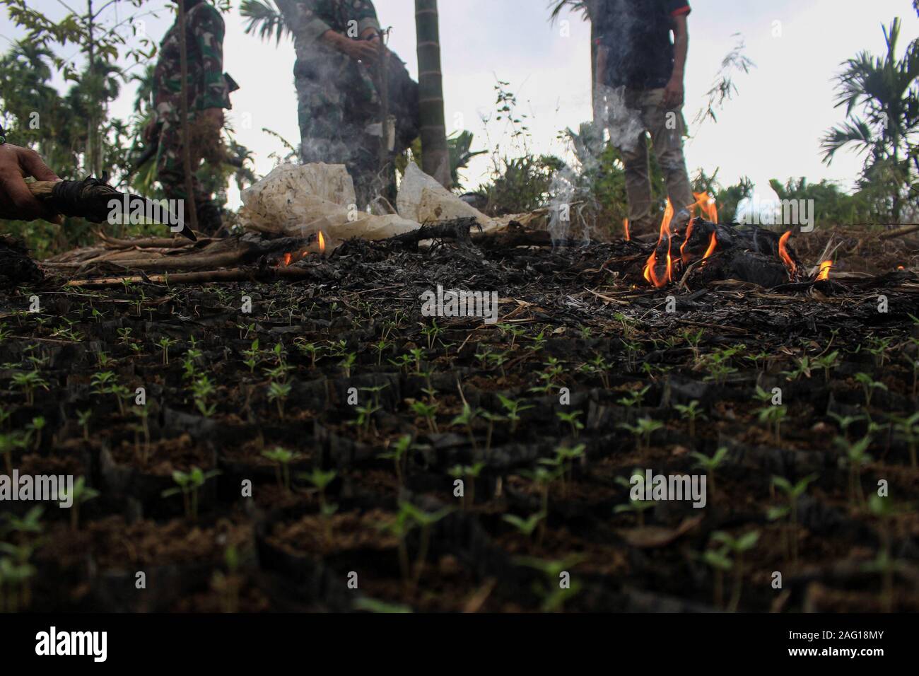 Destroyed seeds hi-res stock photography and images - Alamy
