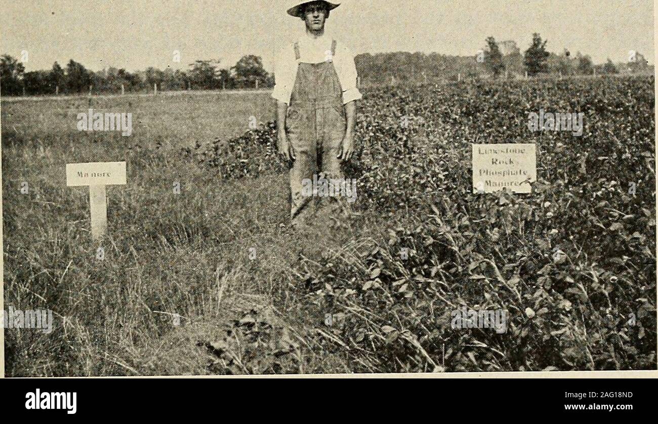 Limestone leaching hi-res stock photography and images - Alamy