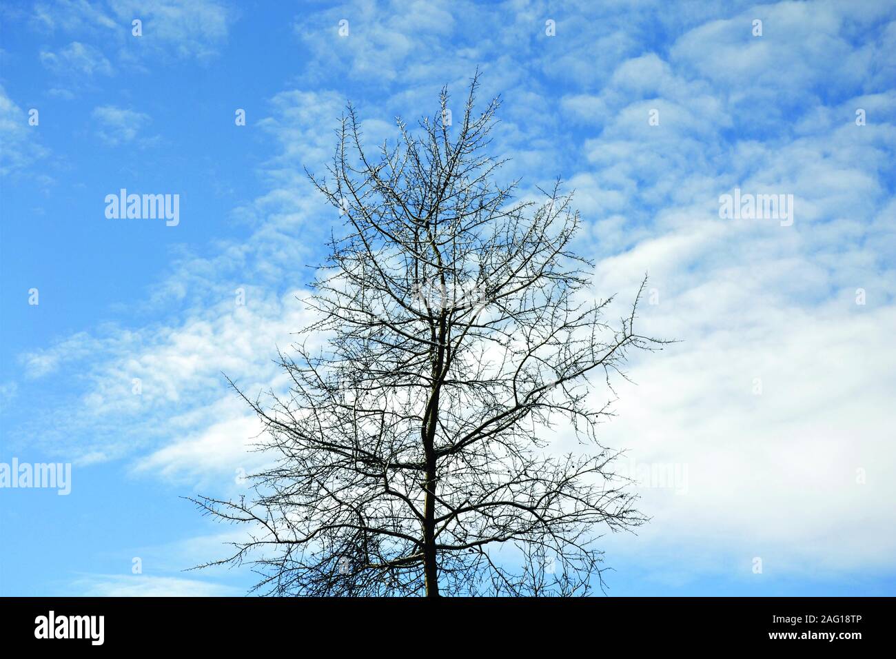 Wondereland hi-res stock photography and images - Alamy