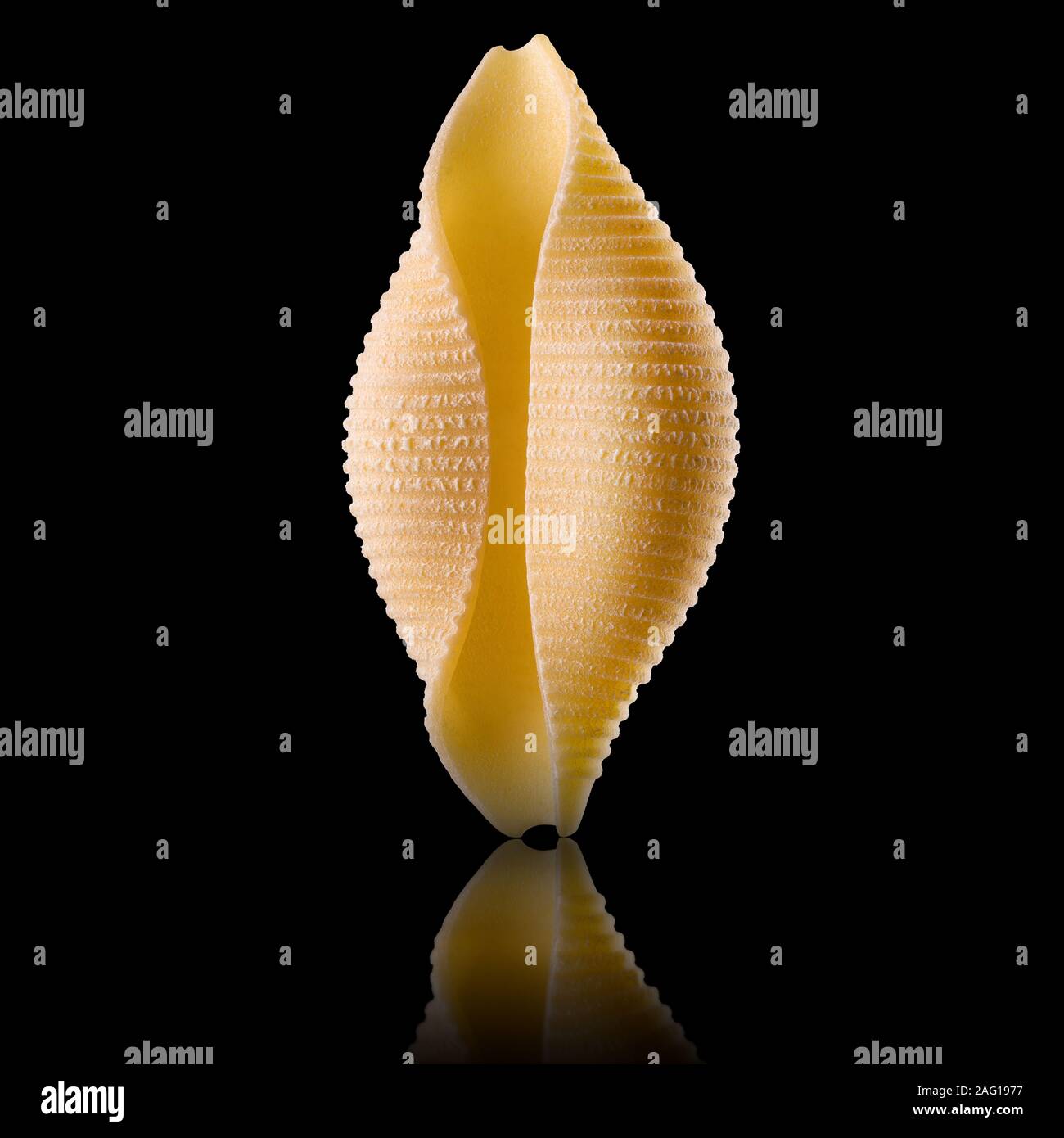 Macro photo of conchiglie pasta shell isolated on black background ...