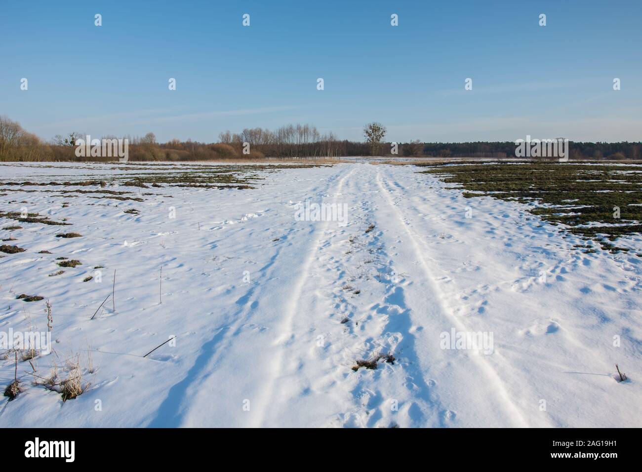 Snow-covered country road. Forest on the horizon and blue sky - winter ...