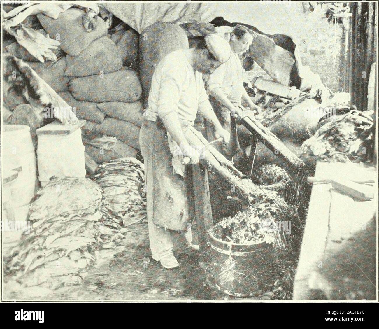 Sral hi-res stock photography and images - Alamy