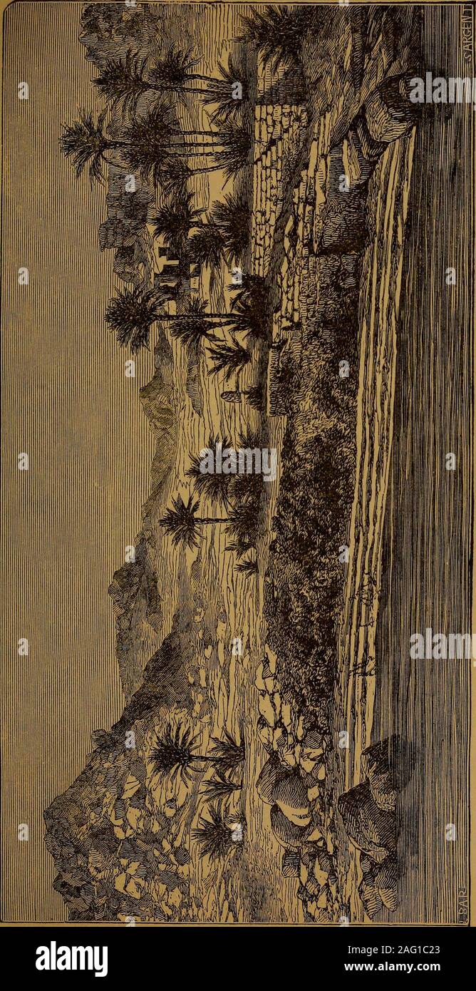 Aztlan migration hi-res stock photography and images - Alamy