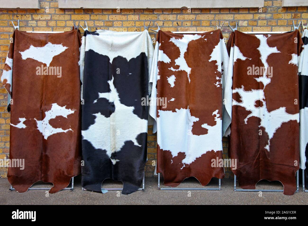 Four unique cowhide at display Stock Photo - Alamy